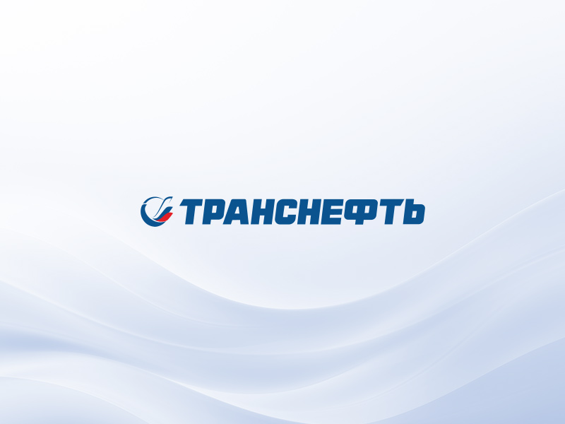 Transneft system on the web